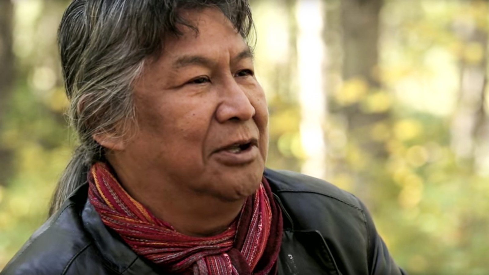 Aboriginal Archives | Global Bushlife