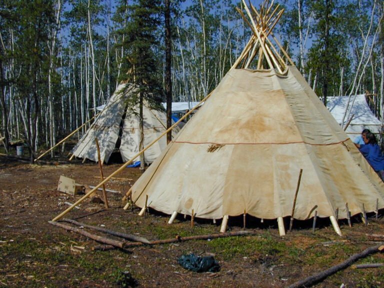 The Caribou Skin Lodge: Traditional Dogrib Shelter – Global Bushlife